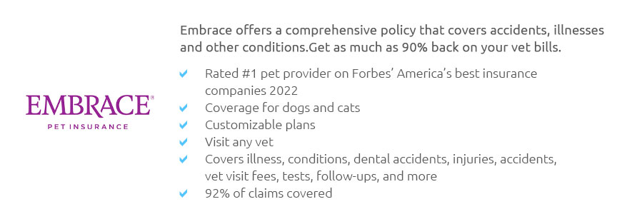 Insurance For A Dog 🐾 Jul 2025
